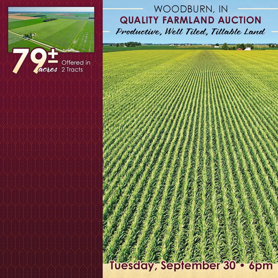FARMLAND AUCTION - FARM LAND AUCTION - 79+/- ACRES OFFERED IN 2 TRACTS ...